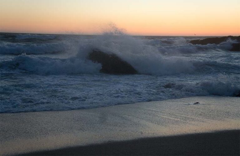 12 Best Bodega Bay Beaches, California - Sunlight Living